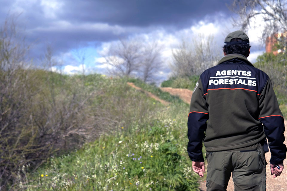 Convocadas 130 nuevas plazas para bomberos y agentes forestales en la ...